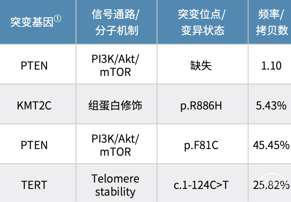 一例胶质母细胞瘤（WHO IV级）IDH野生型患者，通过标准Stupp方案联合肿瘤电场治疗，生存获益明显 - 脑医汇
