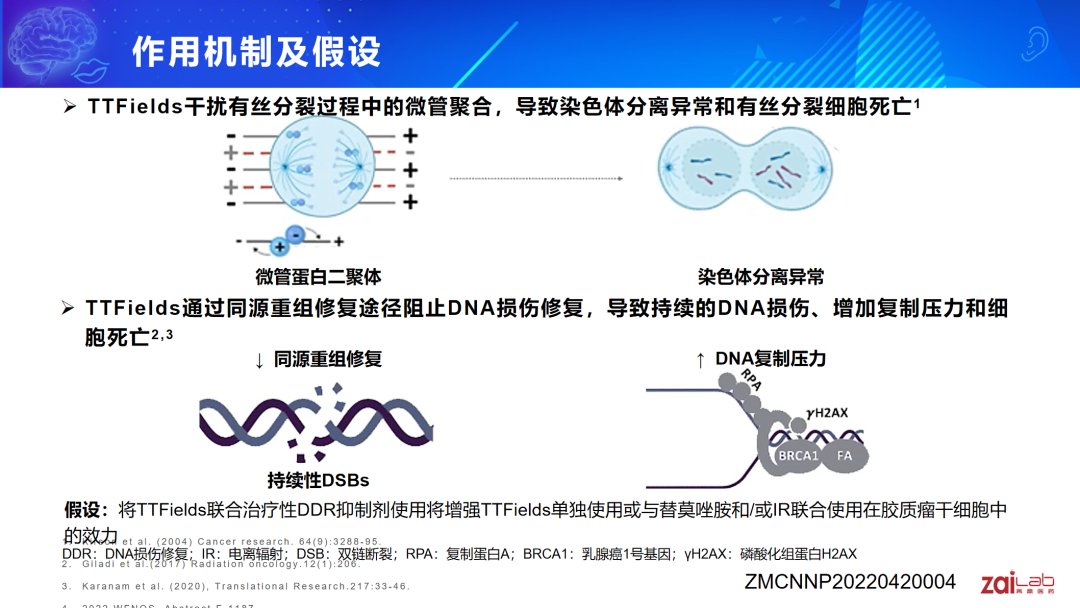 2022 WFNOS前沿速递之TTFields临床（前）探索与研究 - 脑医汇 - 神外资讯 - 神介资讯