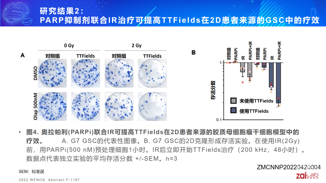 2022 WFNOS前沿速递之TTFields临床（前）探索与研究 - 脑医汇 - 神外资讯 - 神介资讯