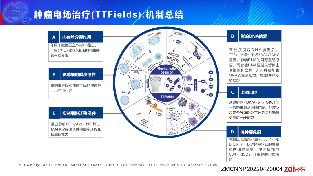 2022 WFNOS前沿速递之TTFields临床（前）探索与研究 - 脑医汇 - 神外资讯 - 神介资讯