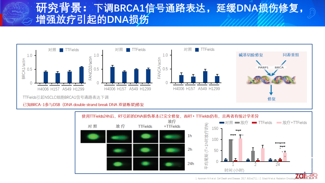 1+1≥2？2022 AACR WFNOS：TTFields联合放疗研究探索与日俱新 - 脑医汇