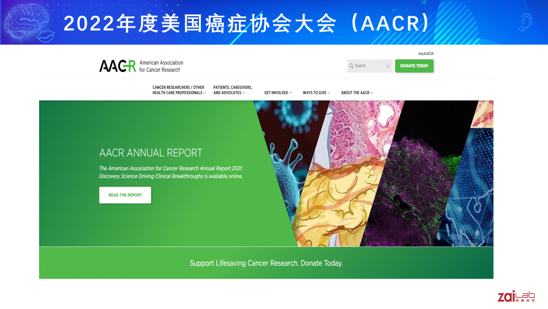 1+1≥2？2022 AACR WFNOS：TTFields联合放疗研究探索与日俱新 - 脑医汇 - 神外资讯 - 神介资讯