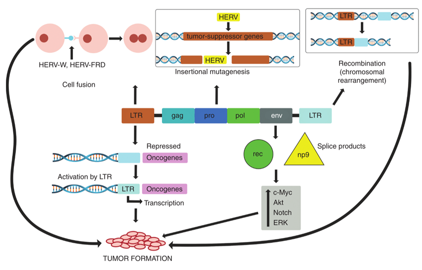 《Neuro-Oncology》2021年10月文章 - 脑医汇 - 神外资讯 - 神介资讯