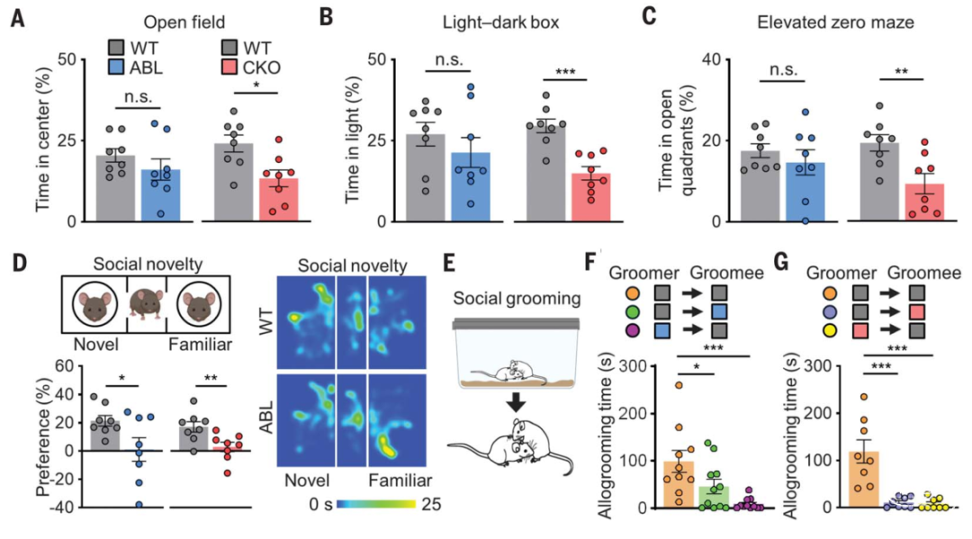 Science | 为什么喜欢贴贴？科学家找到了愉快的触摸能够缓解社会孤独和压力的神经分子机制 - 脑医汇