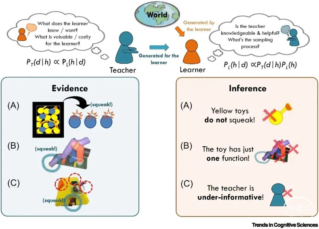 Trends in Cognitive Sciences编辑推荐的2021年度综述 - 脑医汇