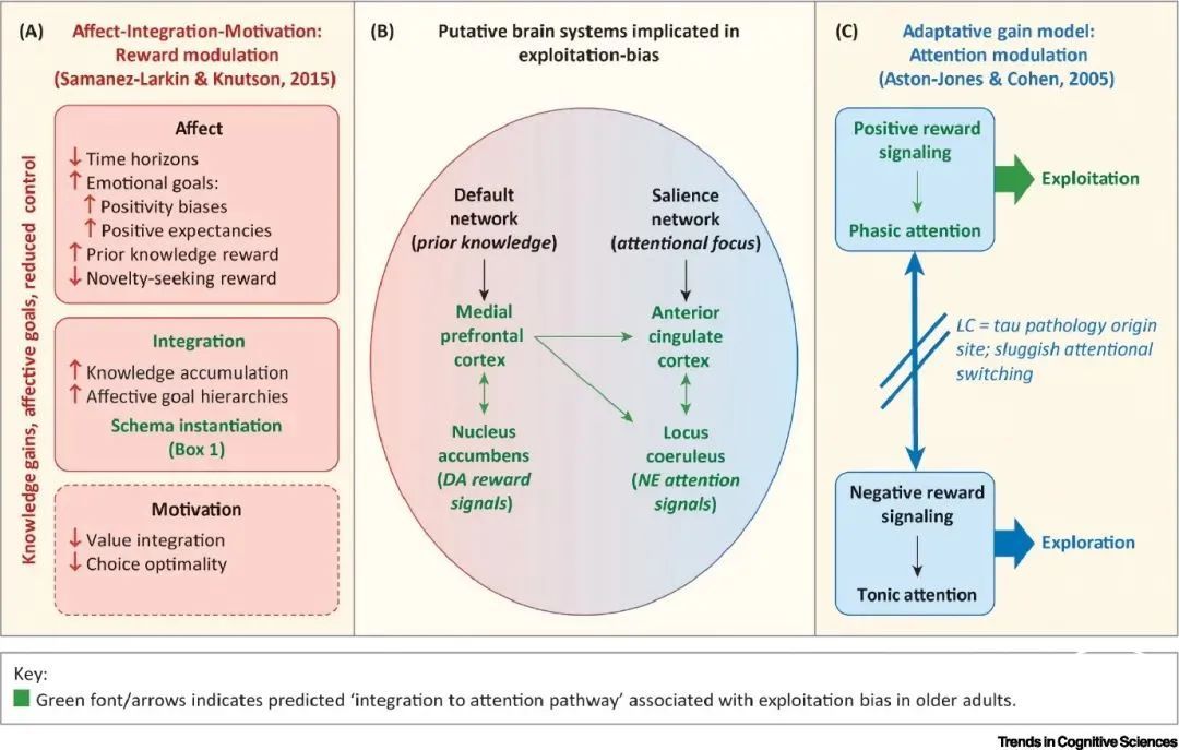 Trends in Cognitive Sciences编辑推荐的2021年度综述 - 脑医汇