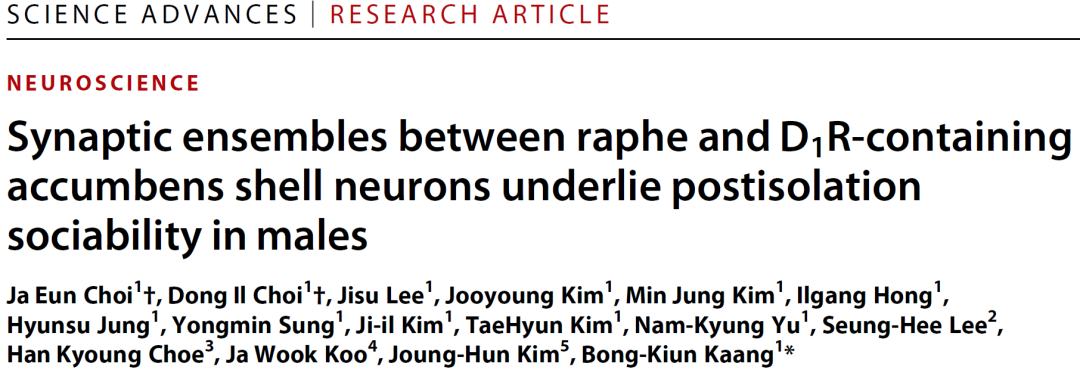 Science子刊︱封锁隔离，好想聚会热闹一下：科学家发现孤独导致社交渴望的环路基础 - 脑医汇