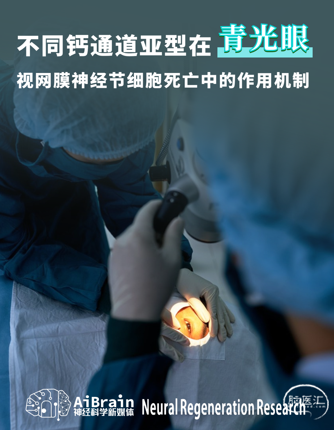 NRR丨复旦大学王中峰和孙兴怀团队揭示不同钙通道亚型在视网膜神经节细胞死亡中的作用机制 - 脑医汇