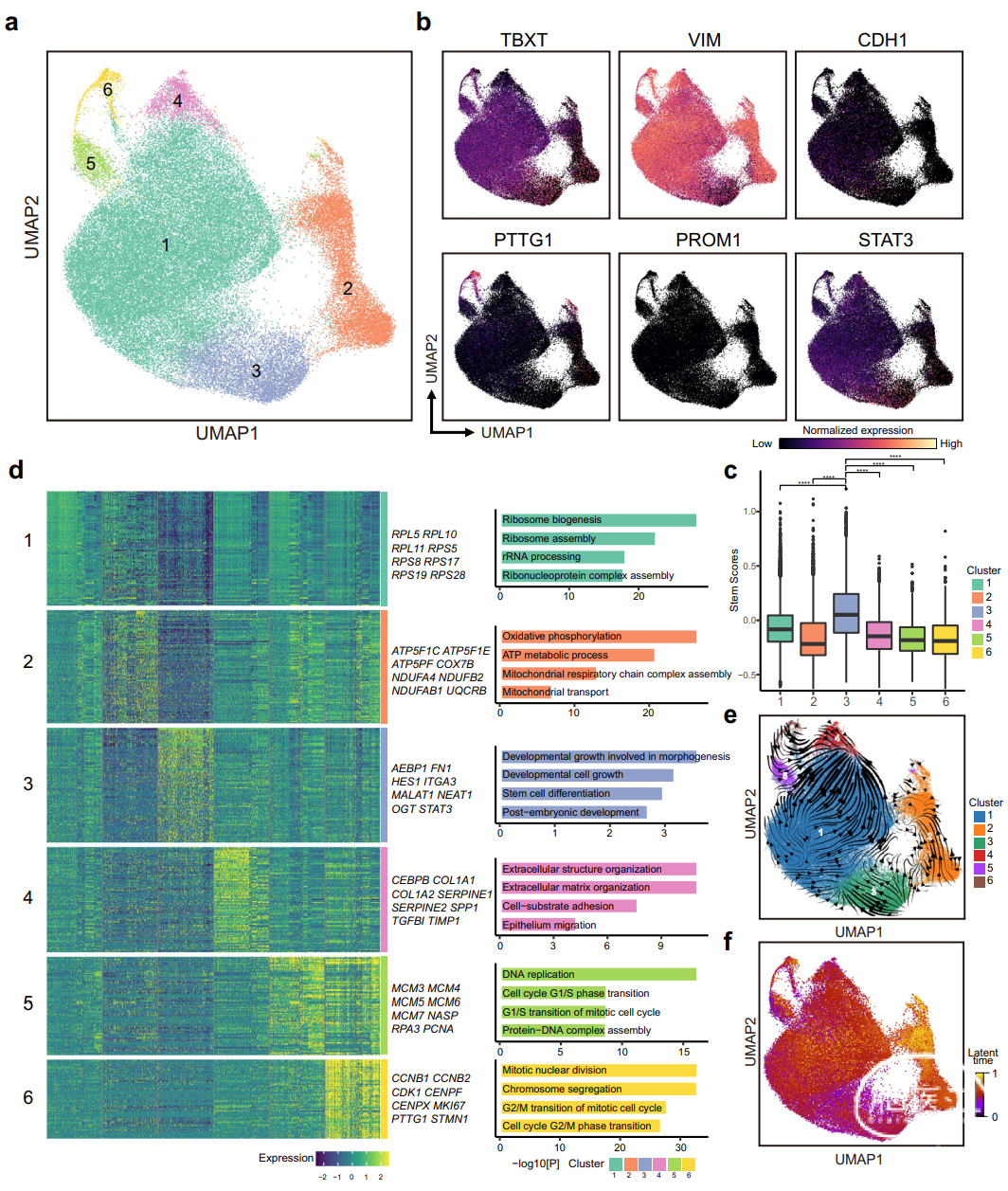 Cell discovery｜复旦赵曜团队和浙大郭国骥团队合作利用单细胞测序指导脊索瘤新药临床试验 - 脑医汇