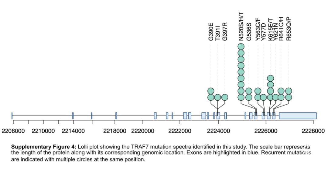 【阔然开朗】单细胞DNA测序技术提示TRAF7和AKT1 /KLF4共突变脑膜瘤的基因突变先后顺序 - 脑医汇