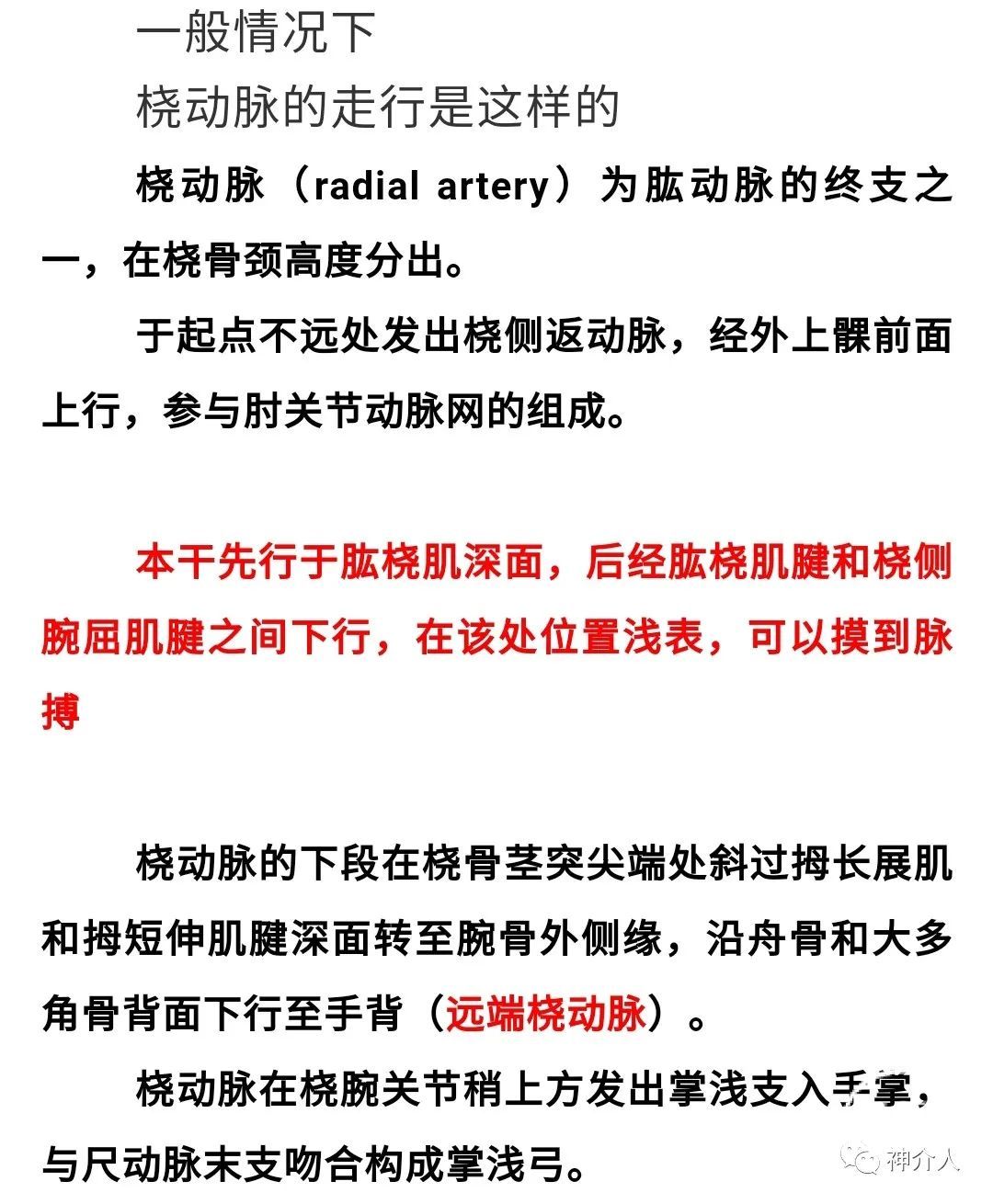 关于桡动脉入路行神经介入的 那点事” 脑医汇