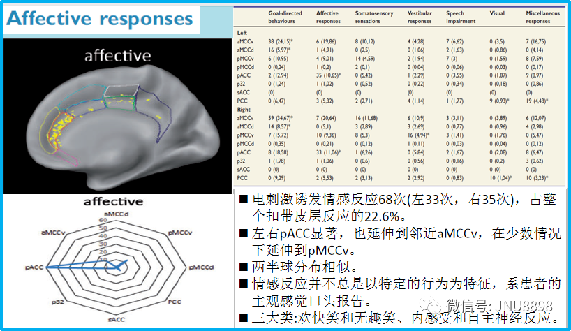 《人类扣带回电刺激研究》 - 脑医汇 - 神外资讯 - 神介资讯