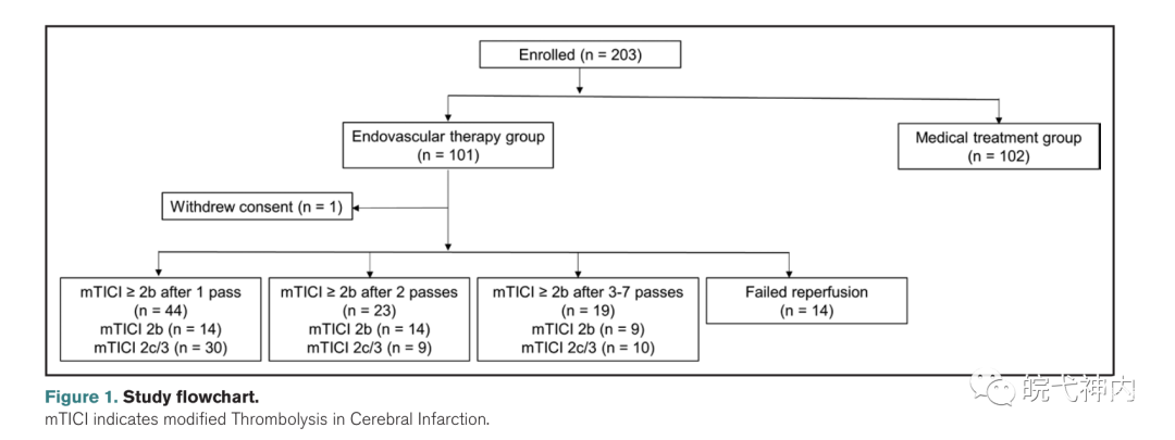大核心梗死血管成功再通取栓次数超过3次不改善预后 - 脑医汇