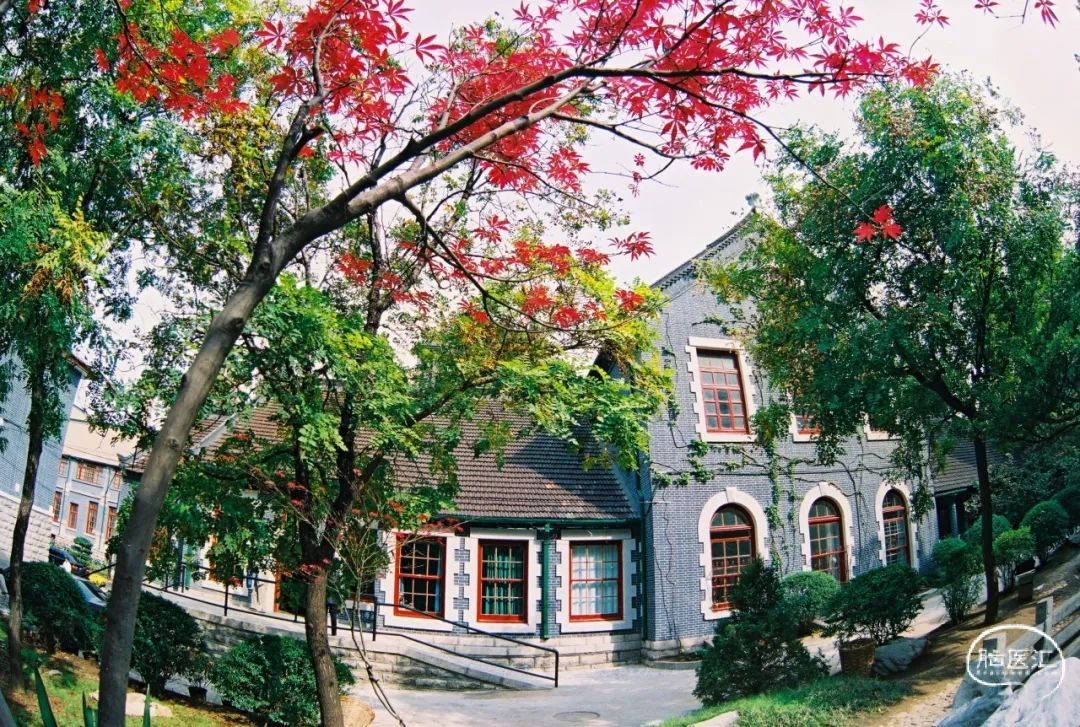 齐鲁医院(第一临床学院)神经外科2023年专科医师规范化培训招生简章 脑医汇