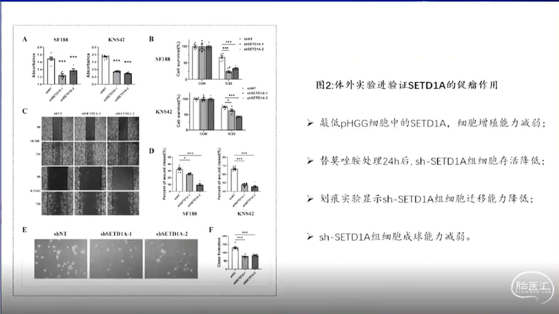 万锋教授：儿童高级别胶质瘤的诱导分化治疗探讨 - 脑医汇