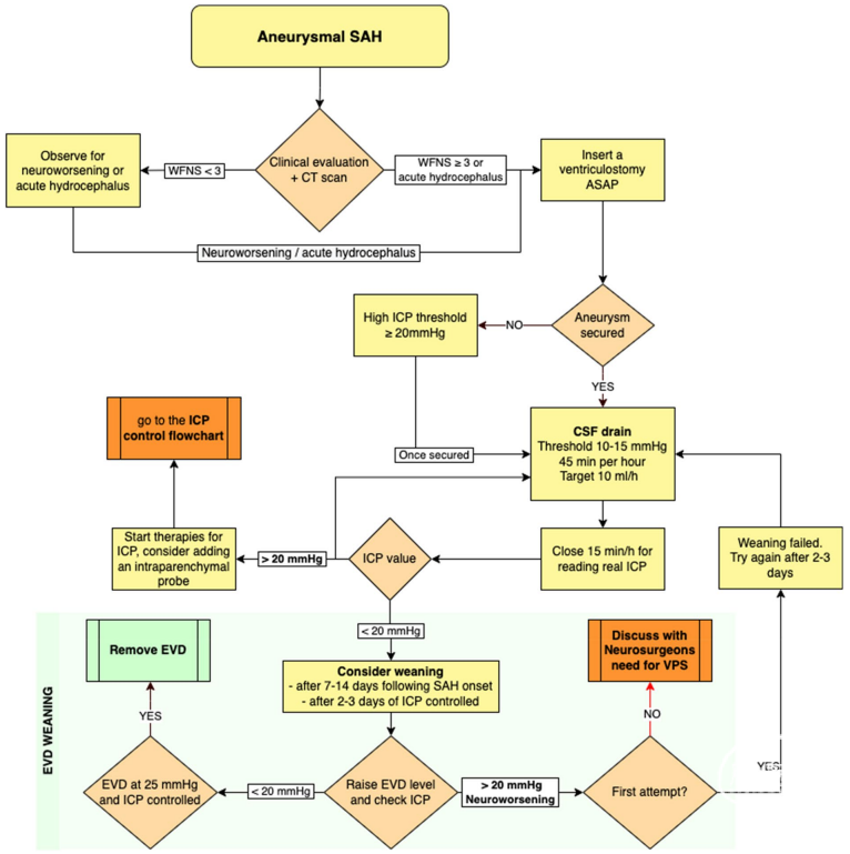 动脉瘤性蛛网膜下腔出血患者的颅内压监护和管理 - 脑医汇