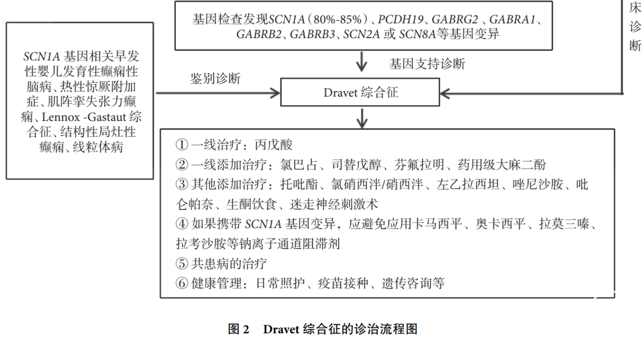 Dravet综合征诊断与治疗的中国专家共识2024 - 脑医汇