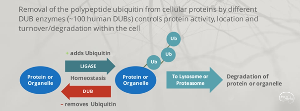 【风向标】MTX325首次人体临床I期试验启动，有望改变帕金森病进程 - 脑医汇