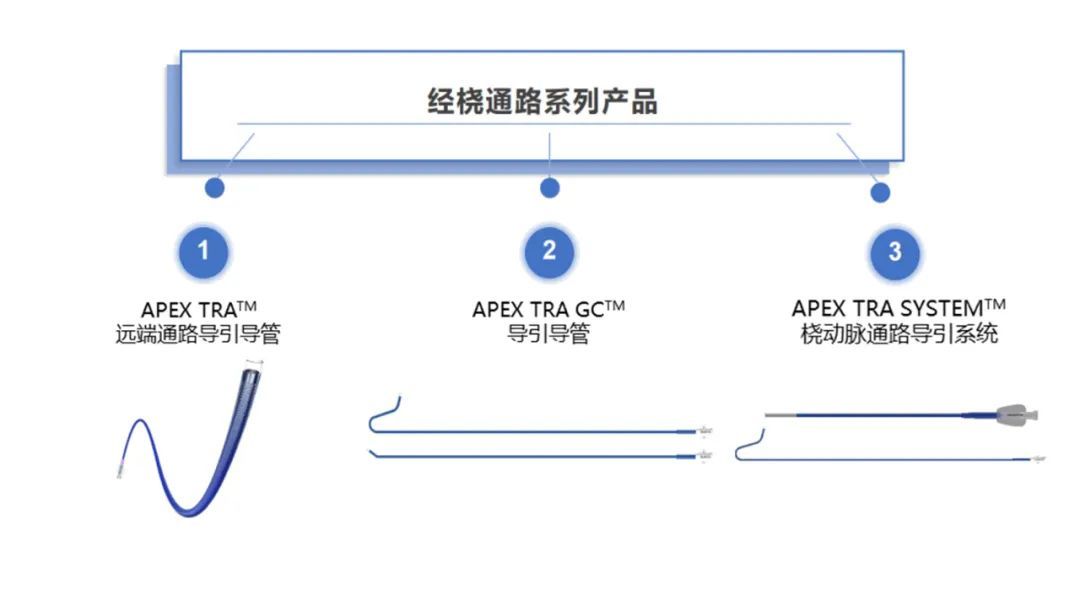 【因桡而生 与众不同】牛型弓应用赛诺7f Apex Tra™经桡入路行左颈动脉支架手术 脑医汇