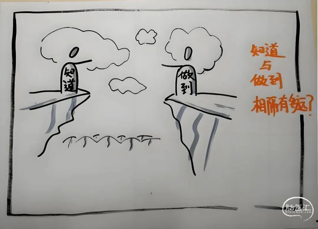 【每周科普】从“知道”到“做到”，到底有多远？ - 脑医汇