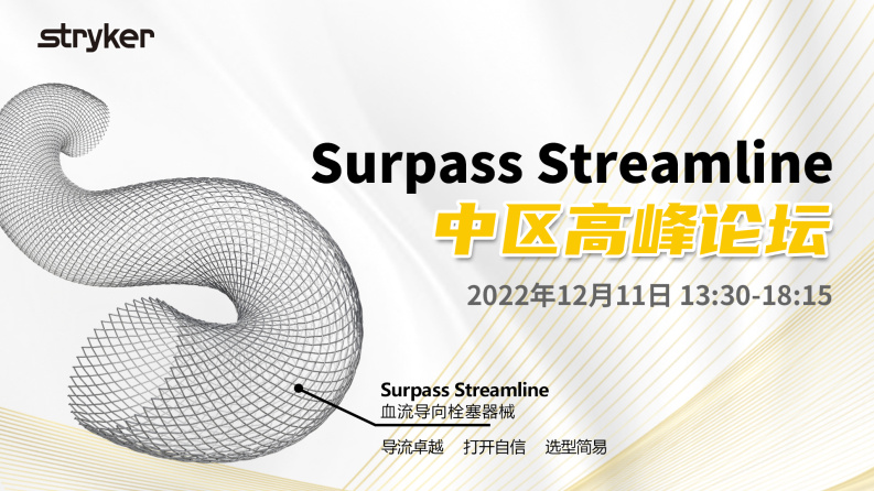 Surpass Streamline 中区高峰论坛