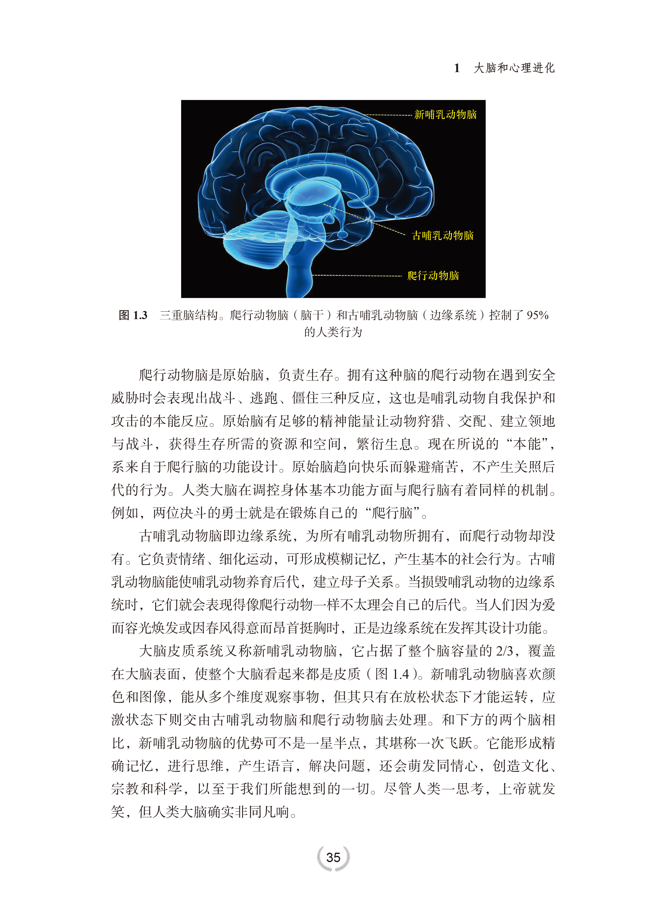 脑科学——进化与成瘾大脑 脑医藏书阁 脑医汇
